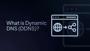 What is Dynamic DNS (DDNS)?