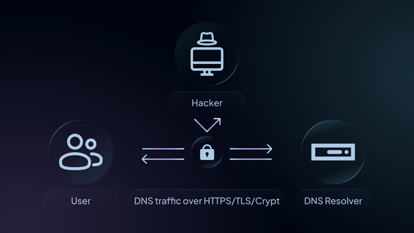 What is DNS Spoofing and How Does It Work?